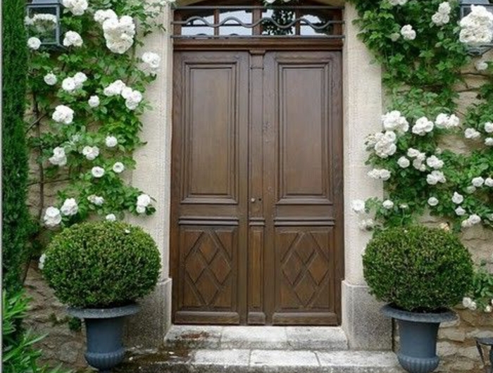 Plantes Grimpantes : Le Guide Complet pour Végétaliser un Mur, une ...