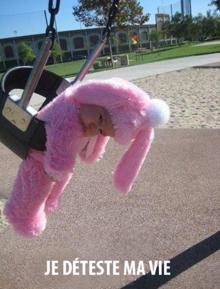 Découvrez des images drôles et partagez-les avec vos amis - Archzine.fr