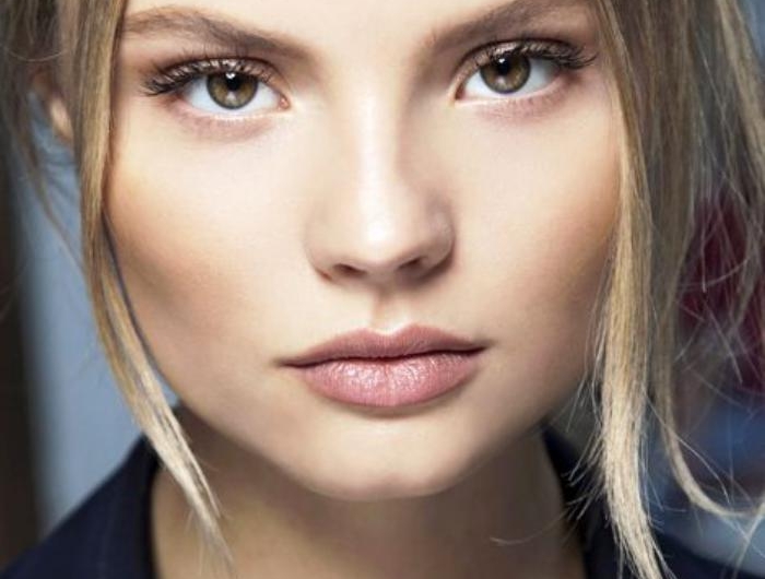 Le Maquillage Naturel, Démystifié : Mes Secrets de Pro pour un Teint ...