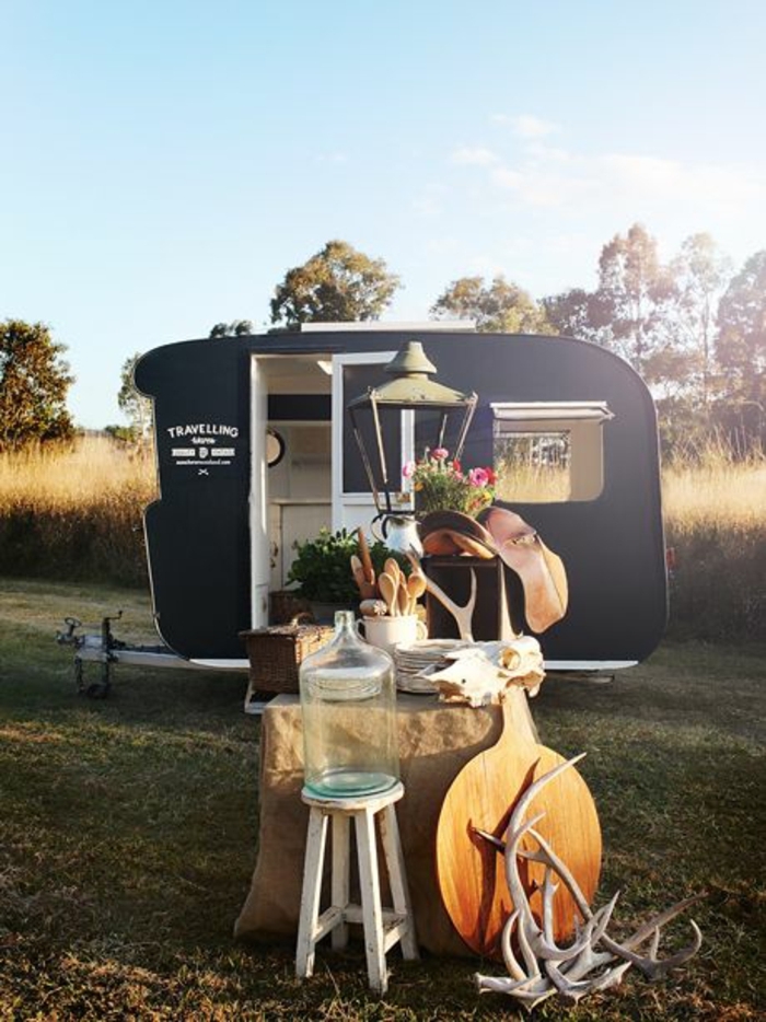1001+ bonnes raisons pour vivre en caravane mobile