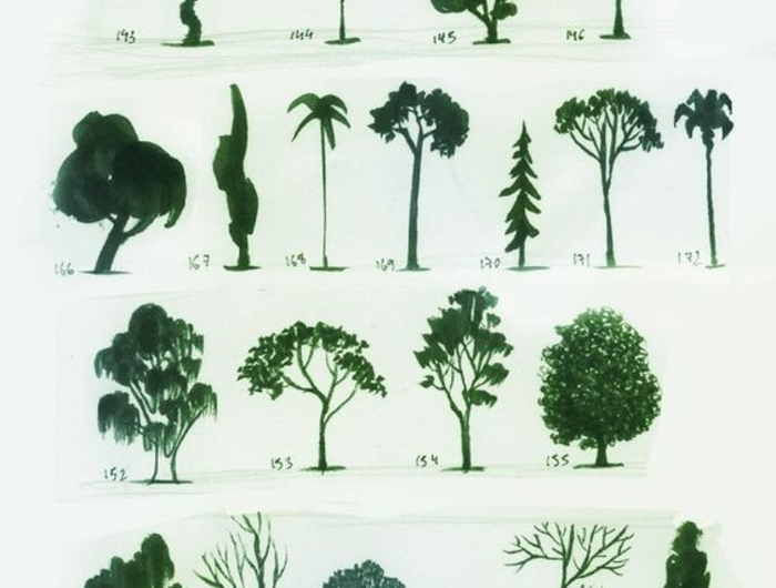 Comment dessiner un arbre – conseils et images à vous aider réaliser un ...