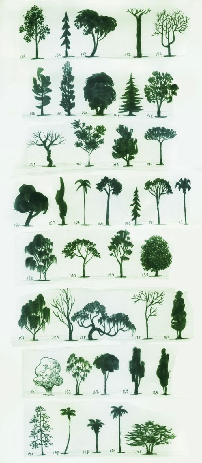 Comment dessiner un arbre – conseils et images à vous aider réaliser un ...