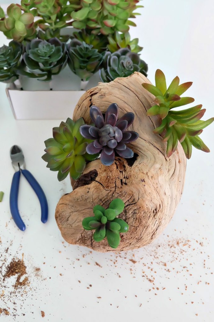 L’Art du Bois Flotté : Le Guide Complet pour Créer vos Propres Trésors