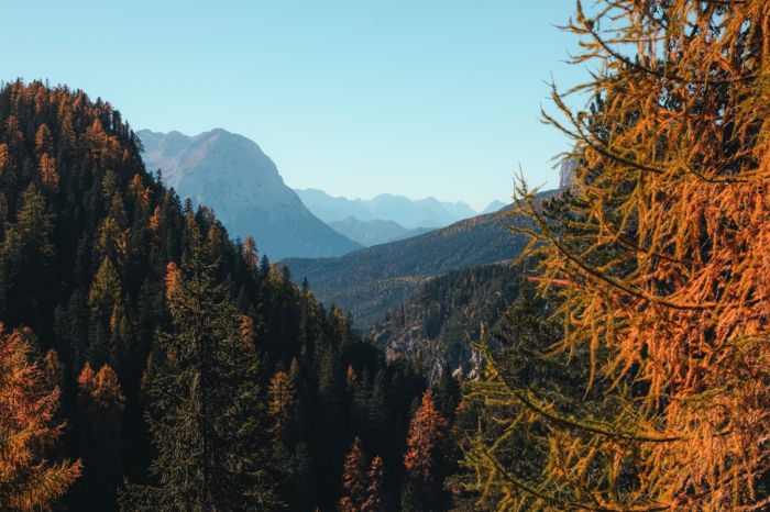 En quête du meilleur paysage d’automne – plus de 100 photos inspirantes