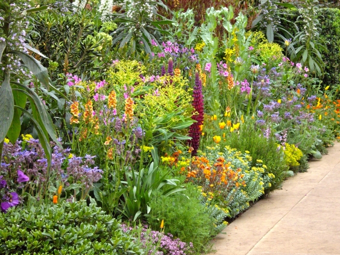 Réussir son Massif de Fleurs (Même en Partant de Zéro)
