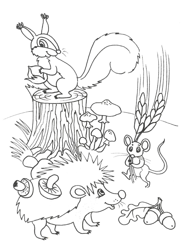 Coloriage d’Automne : Le Guide pour des Couleurs Éclatantes (Même si ...