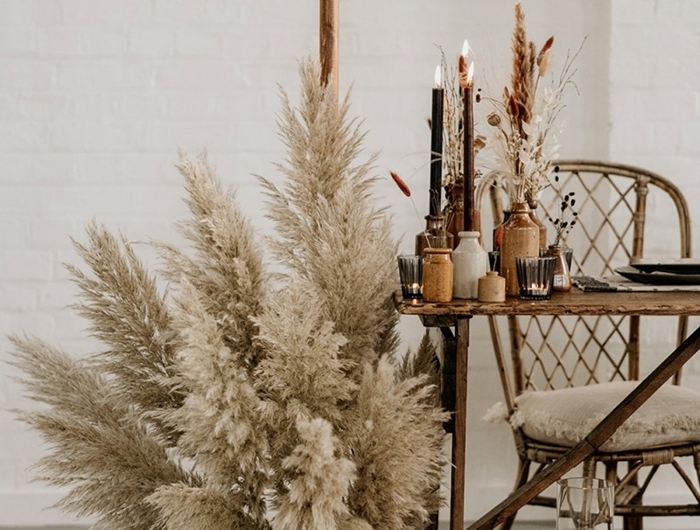 Le Guide Complet de l’Herbe de la Pampa : De la Cueillette à la Déco ...