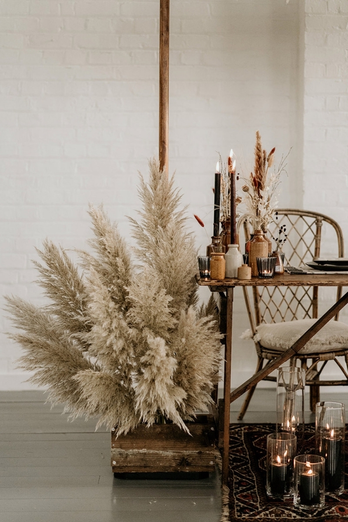 Le Guide Complet de l’Herbe de la Pampa : De la Cueillette à la Déco ...