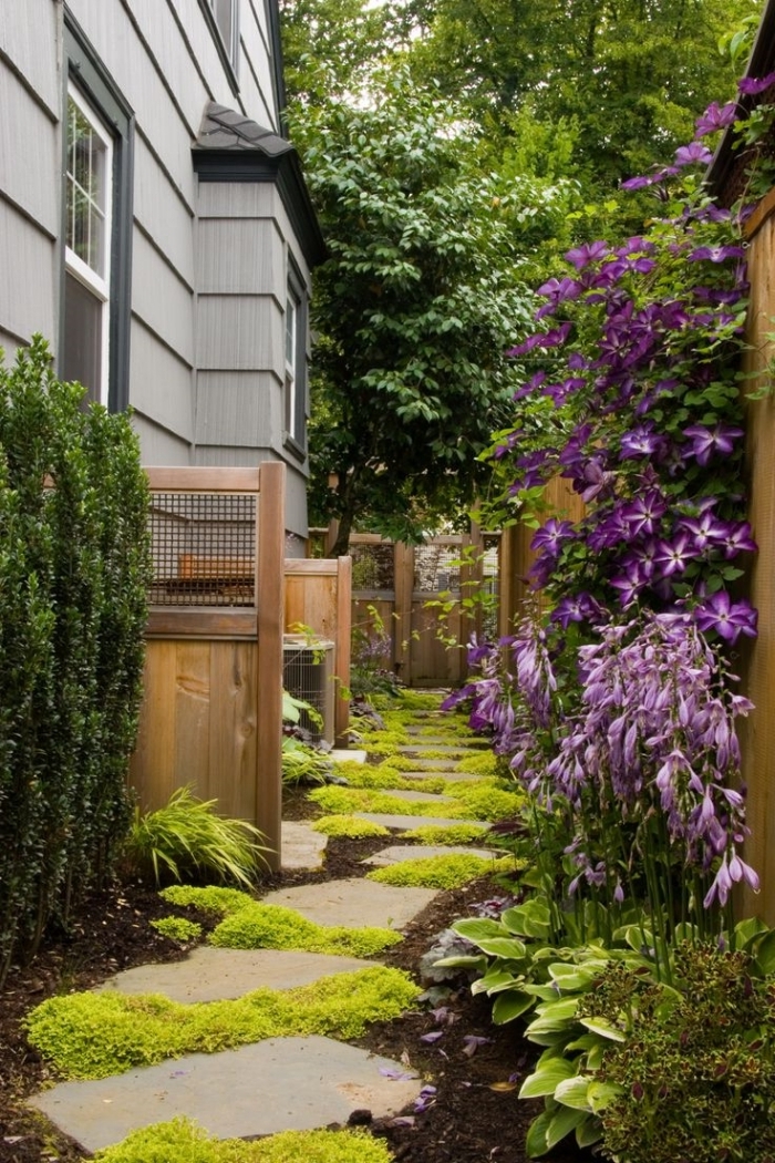 Votre jardin est un couloir ? Mes secrets pour le transformer en un ...
