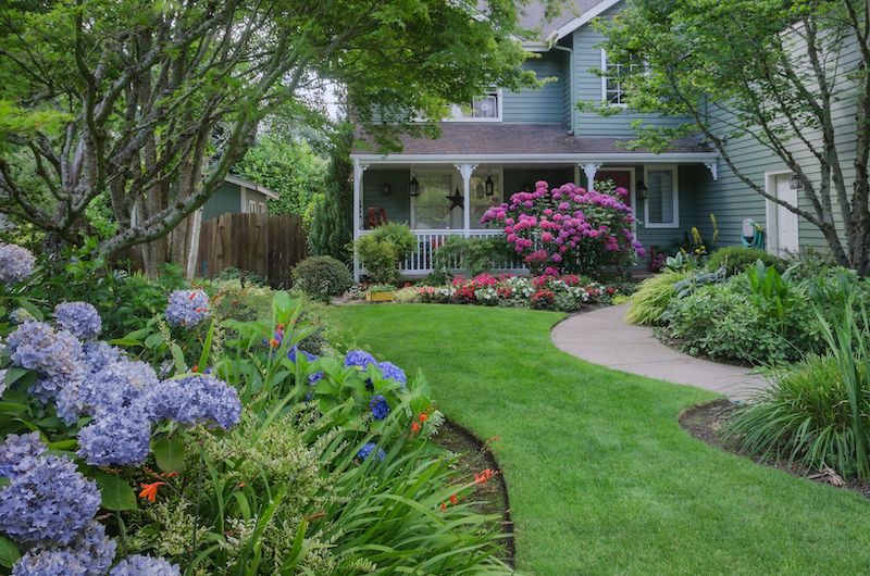 Créer un Parterre de Rêve Devant Chez Vous : Le Guide Complet (Même si ...