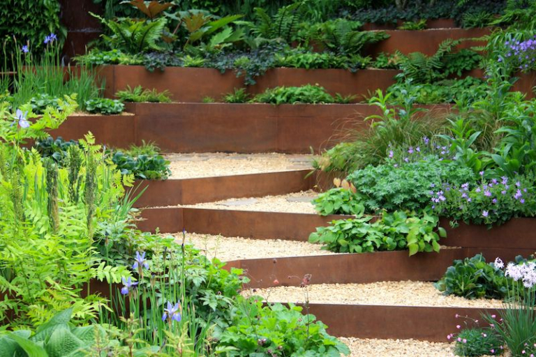 Les 10 indispensables couvre-sol rampants persistant à croissance ...