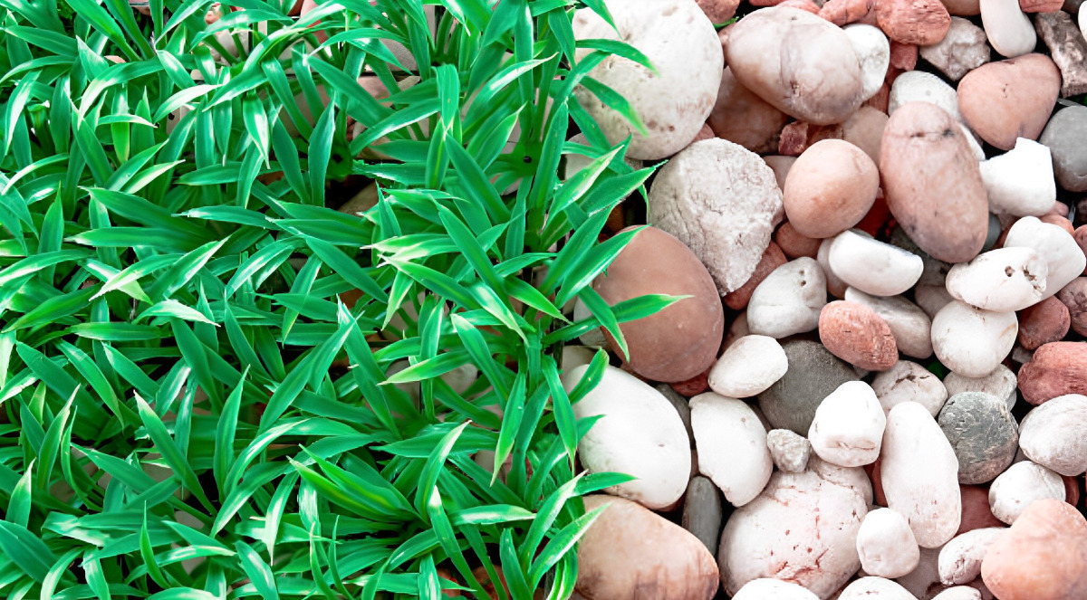 Comment aménager un jardin avec des cailloux : 8 idées pour une ...