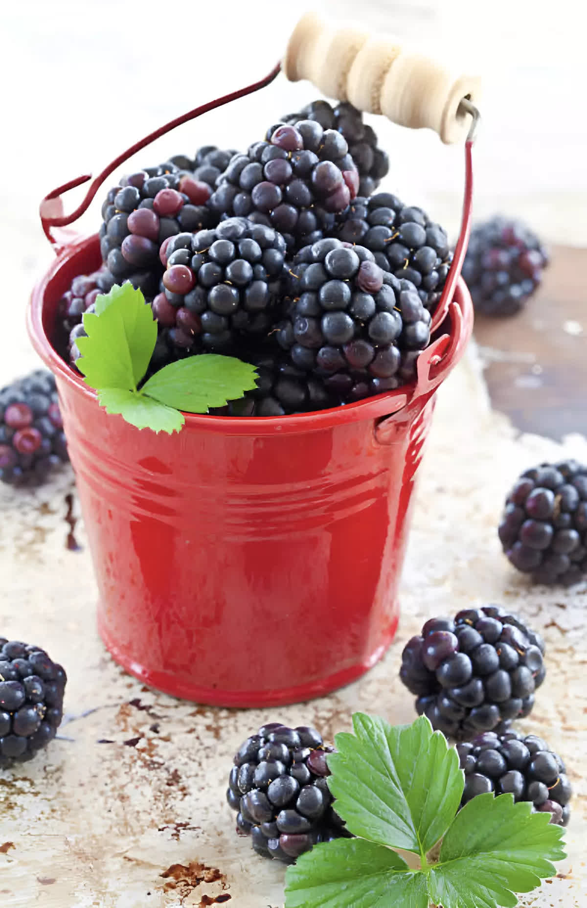 Comment bien laver les mûres et les conserver pour un maximum de saveur