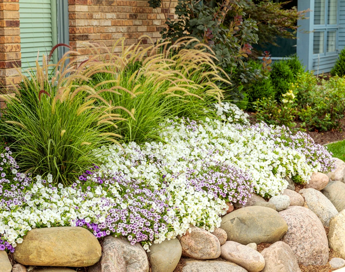 Les meilleures plantes pour talus en pente sans entretien : un ...