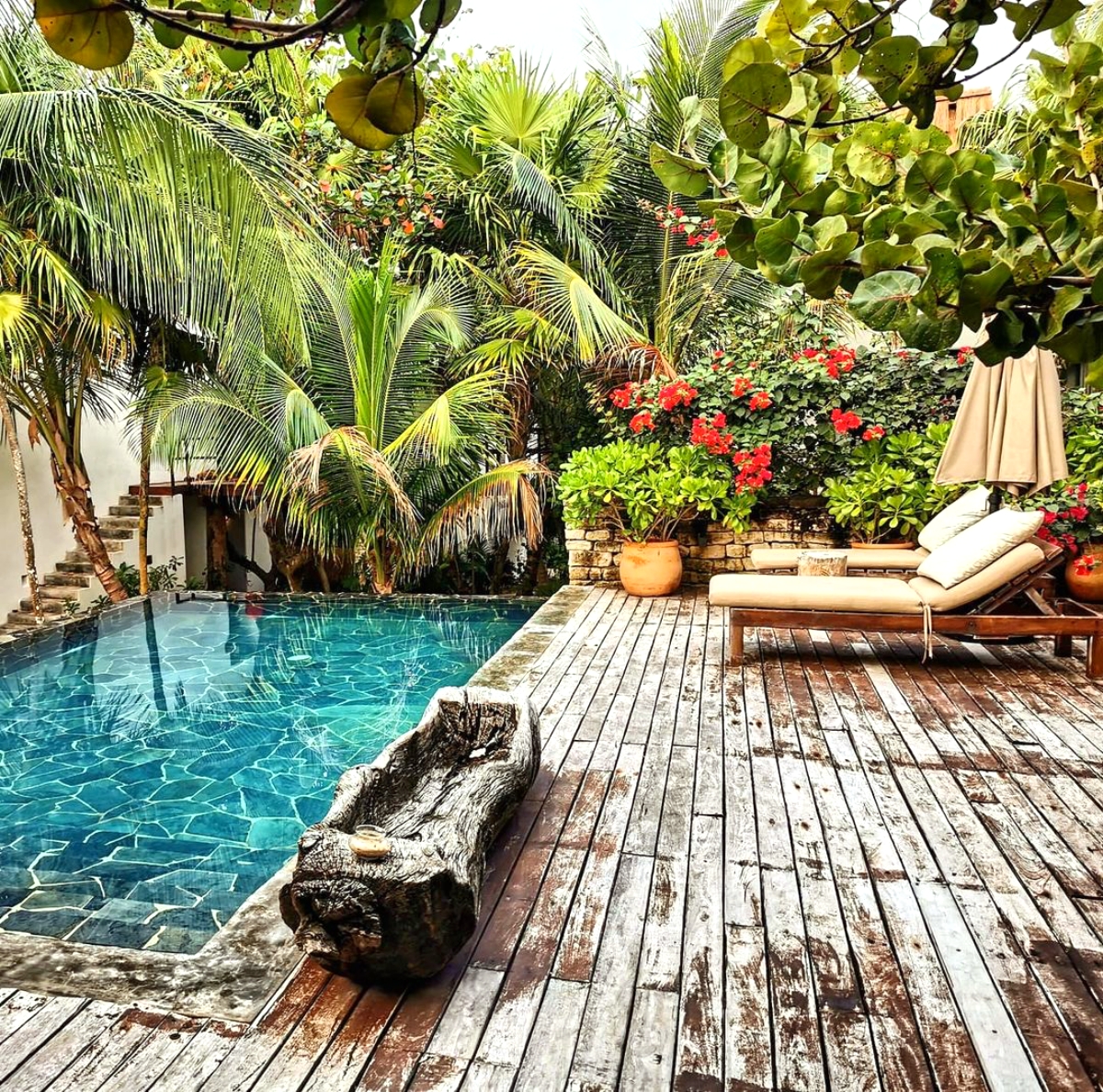 Aménagement d’une piscine : les 8 meilleurs brise-vue pour se cacher rapidement et avoir un ...